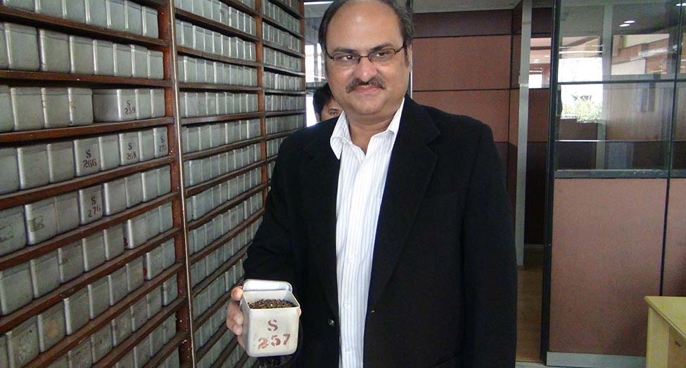 Balaji Agro International – Kanoria Tea